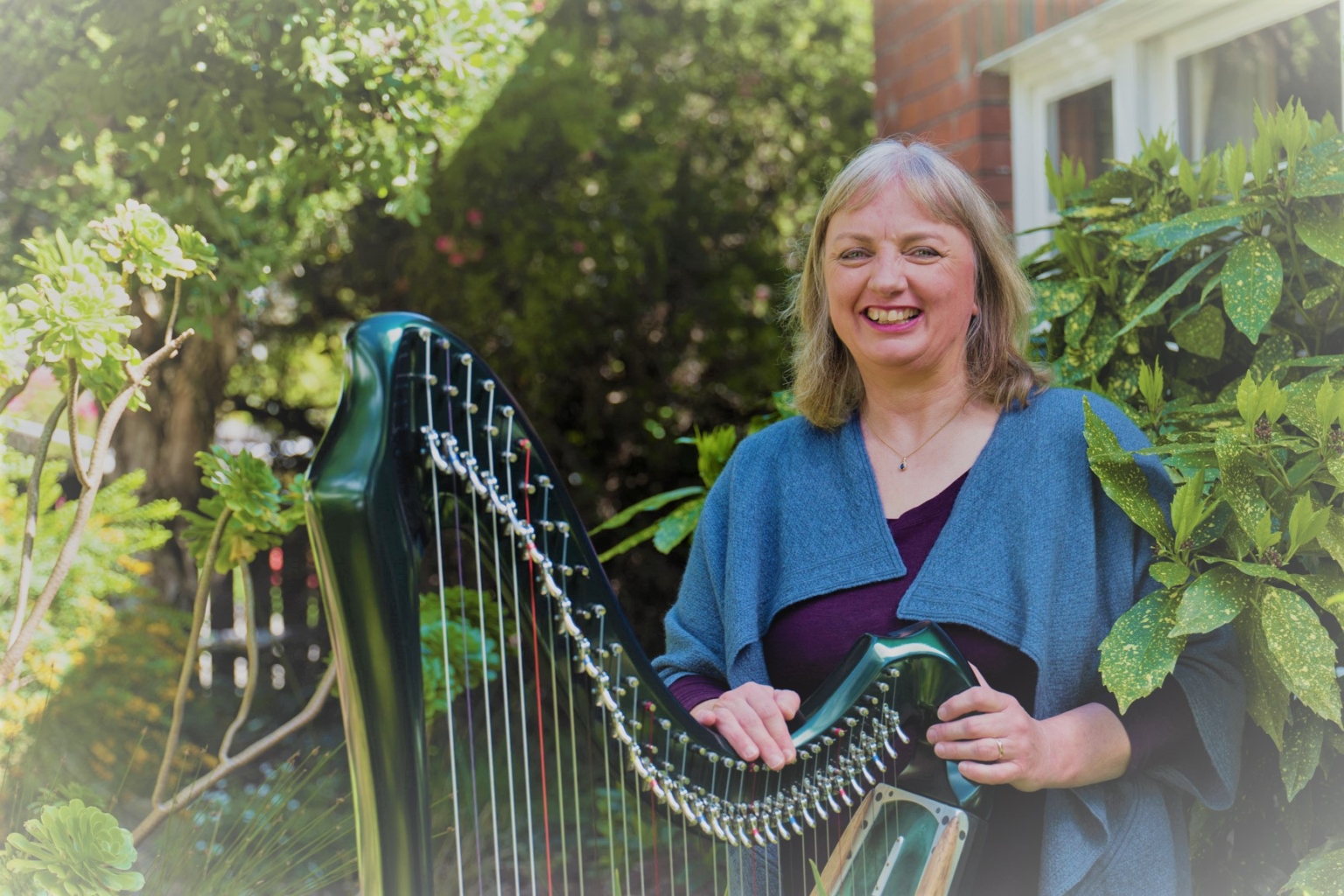 Therapy Harp Training Program - Holistic Healthcare Music Training
